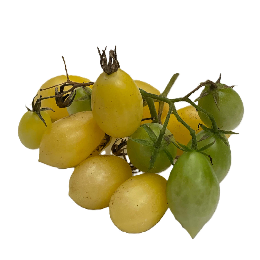 CHERRY TOMATO – LIZA'S PLANTS YYC